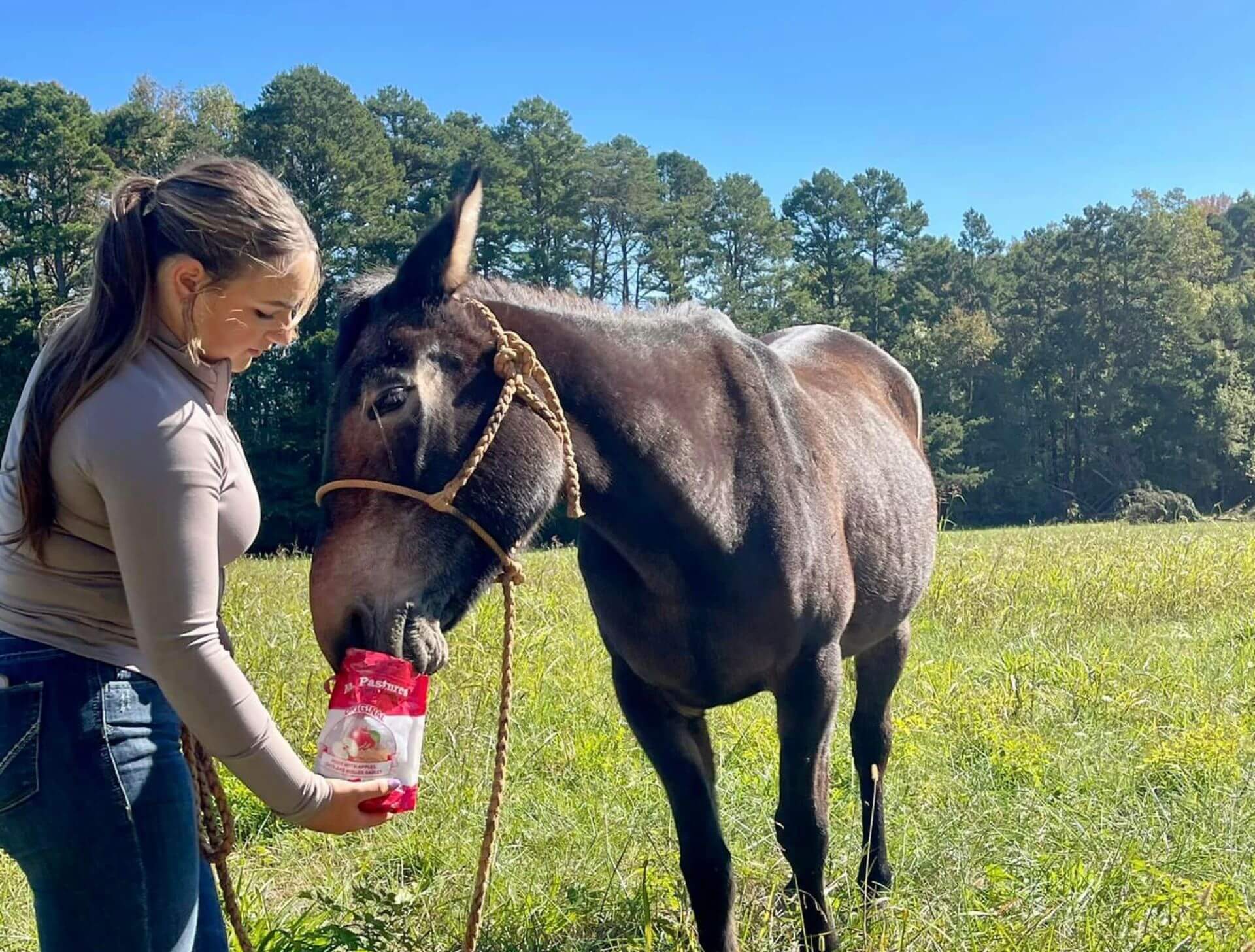 Smokie Loves Mrs. Pastures Cookies for Horses - Mountain Mule Packer Ranch